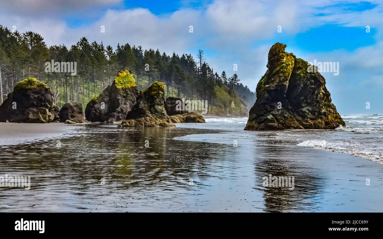 Marine landscape. Small islands and rocks on the shores of the Pacific ...