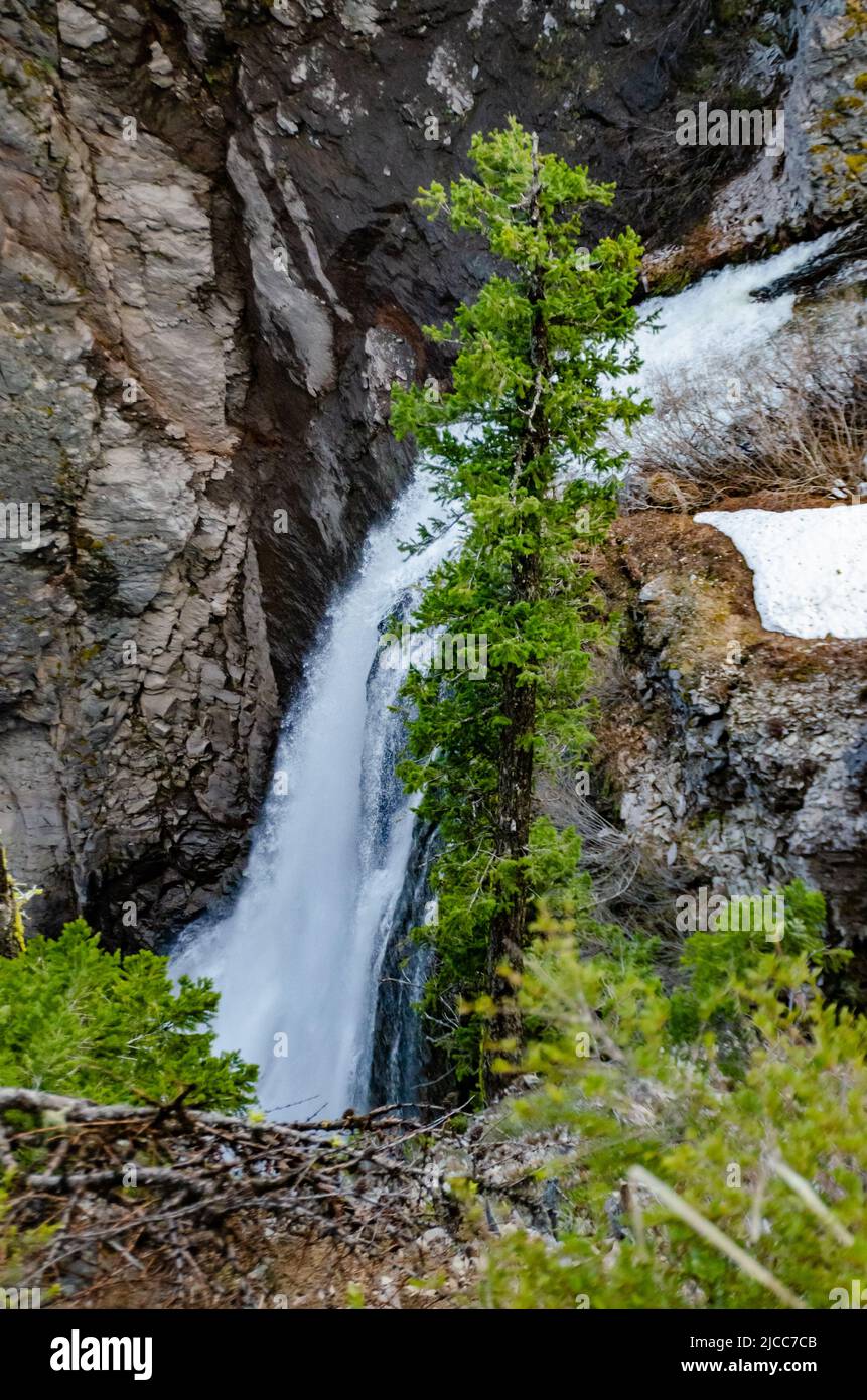 Clear Creek Falls, Wenatchee National Forest. Rainier National Park ...