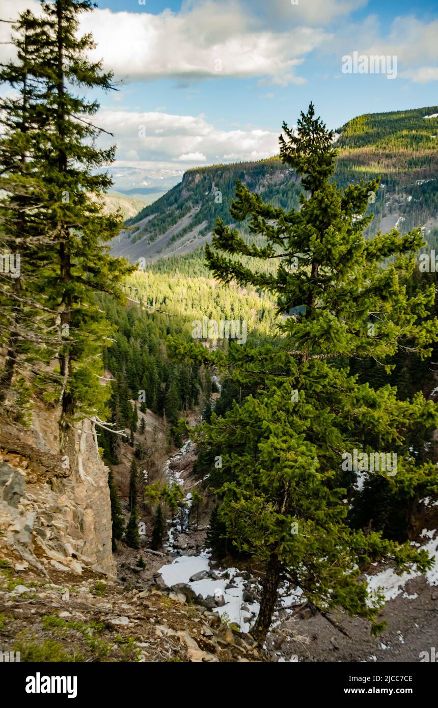 Clear Creek Falls, Wenatchee National Forest. Rainier National Park ...