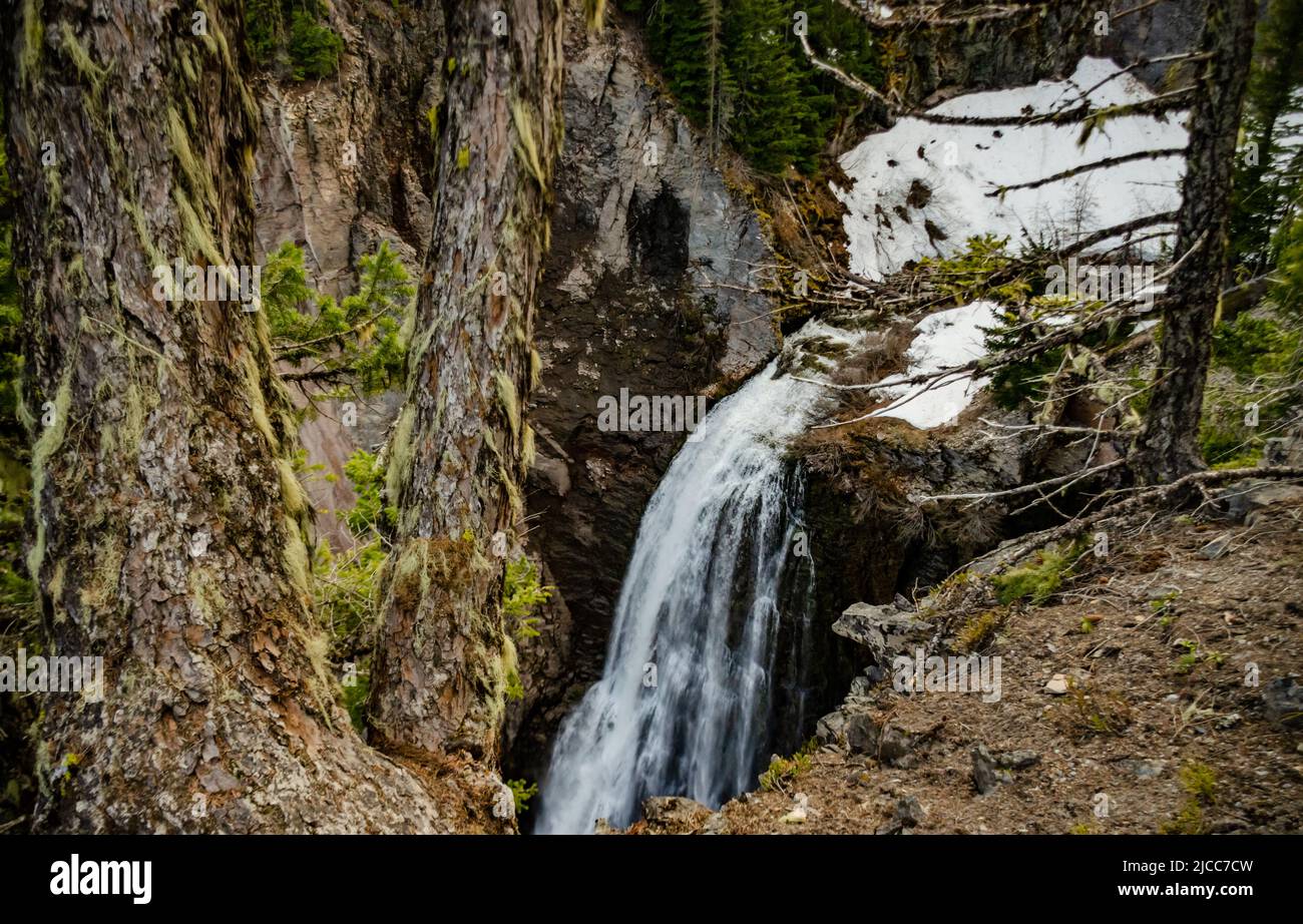 Clear Creek Falls, Wenatchee National Forest. Rainier National Park ...