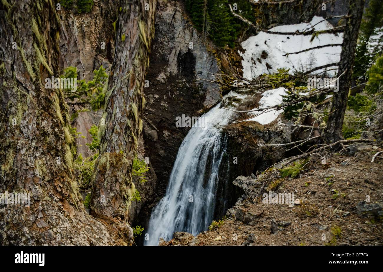 Clear creek falls wenatchee national hi-res stock photography and ...