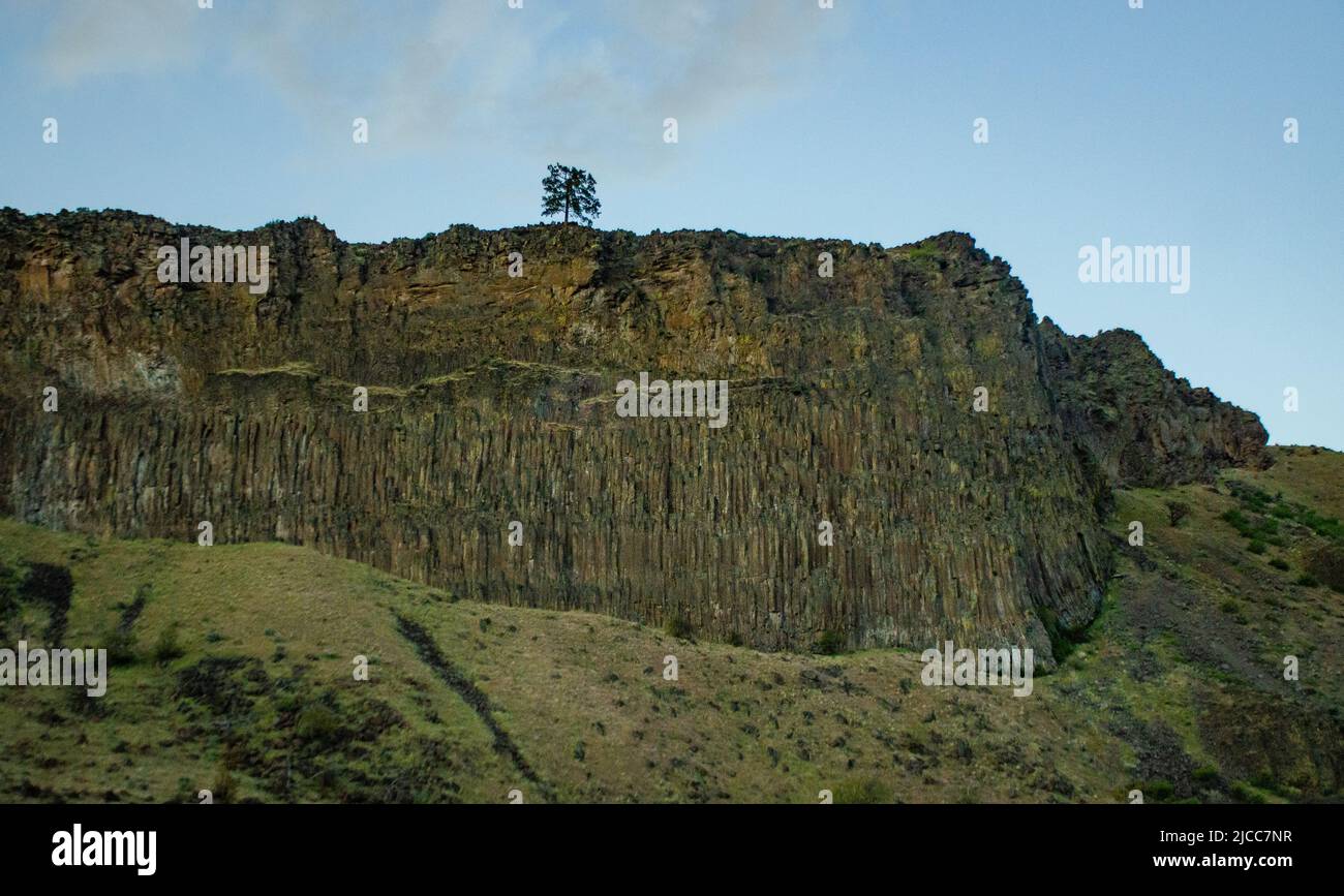 Vertical columnar hi-res stock photography and images - Alamy