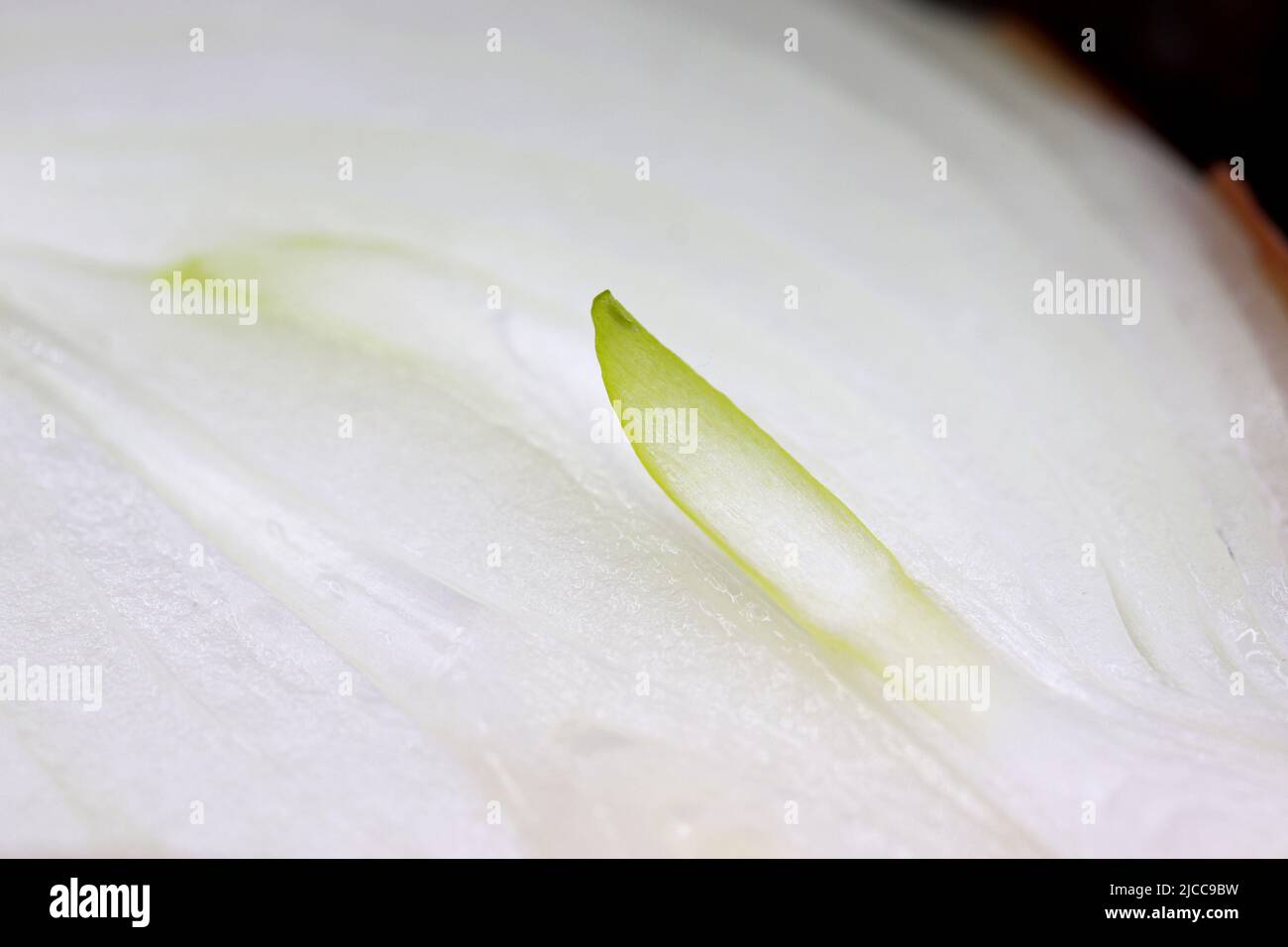 Close-up organic dry onion detail Stock Photo - Alamy