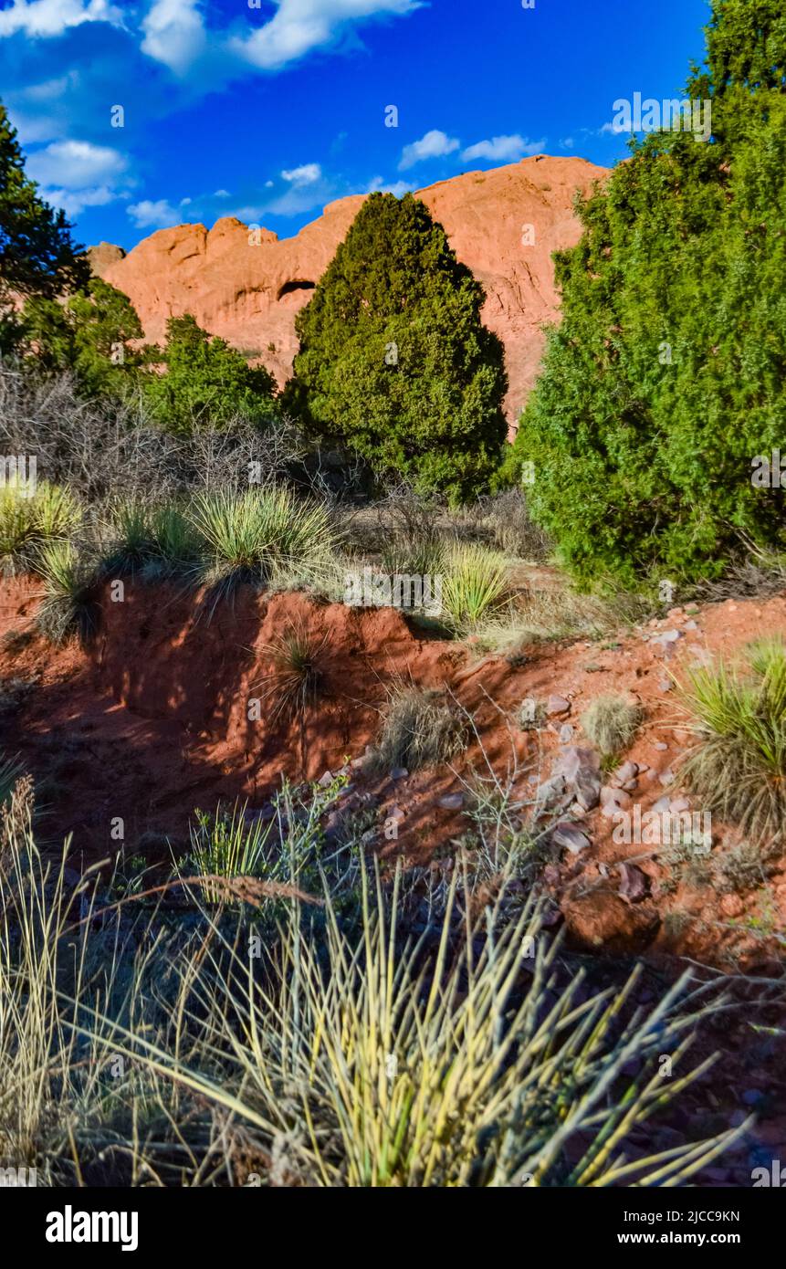 Eroded red-sandstone formations. Garden of the Gods, Colorado Springs ...