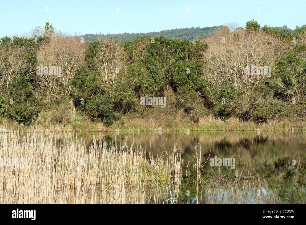 Joyel marsh natural park in Cantabria in a sunny day Stock Photo - Alamy