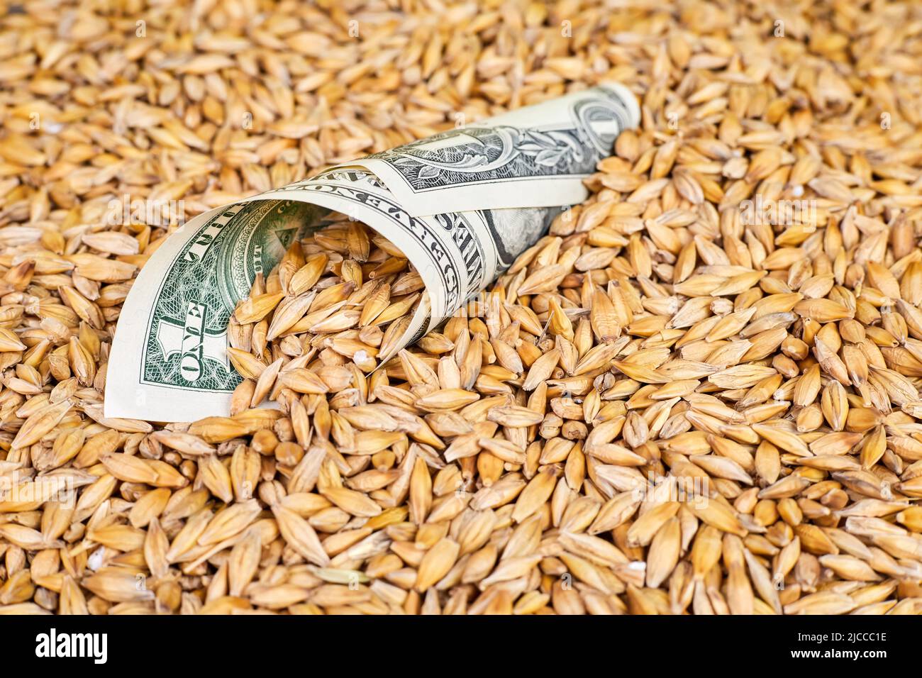 A rolled up dollar bill with barley grains sprinkled into it Stock ...
