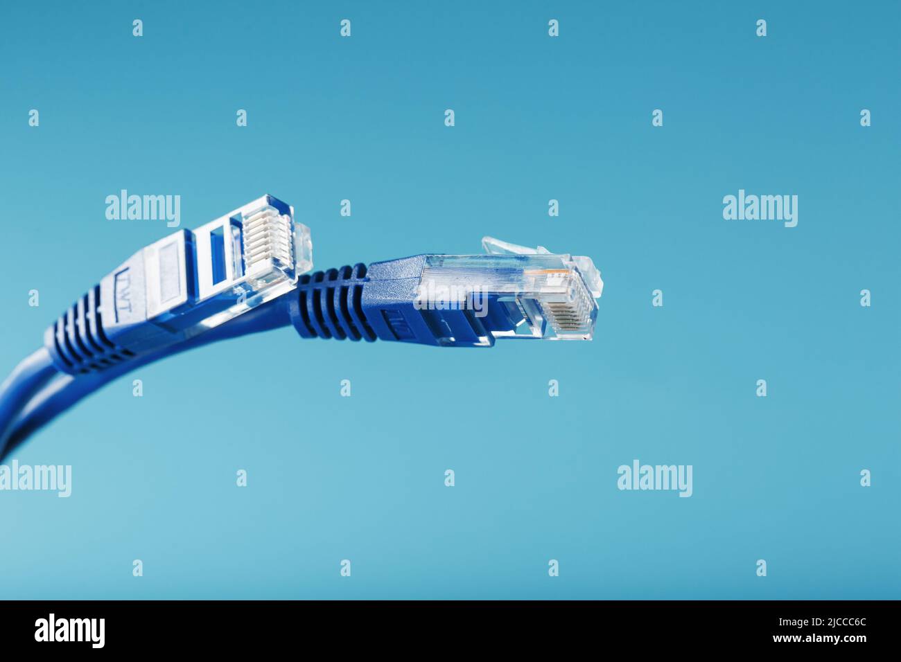 Blue Ethernet Cable Connectors Patch cord cord close-up isolated on a blue background with free ...