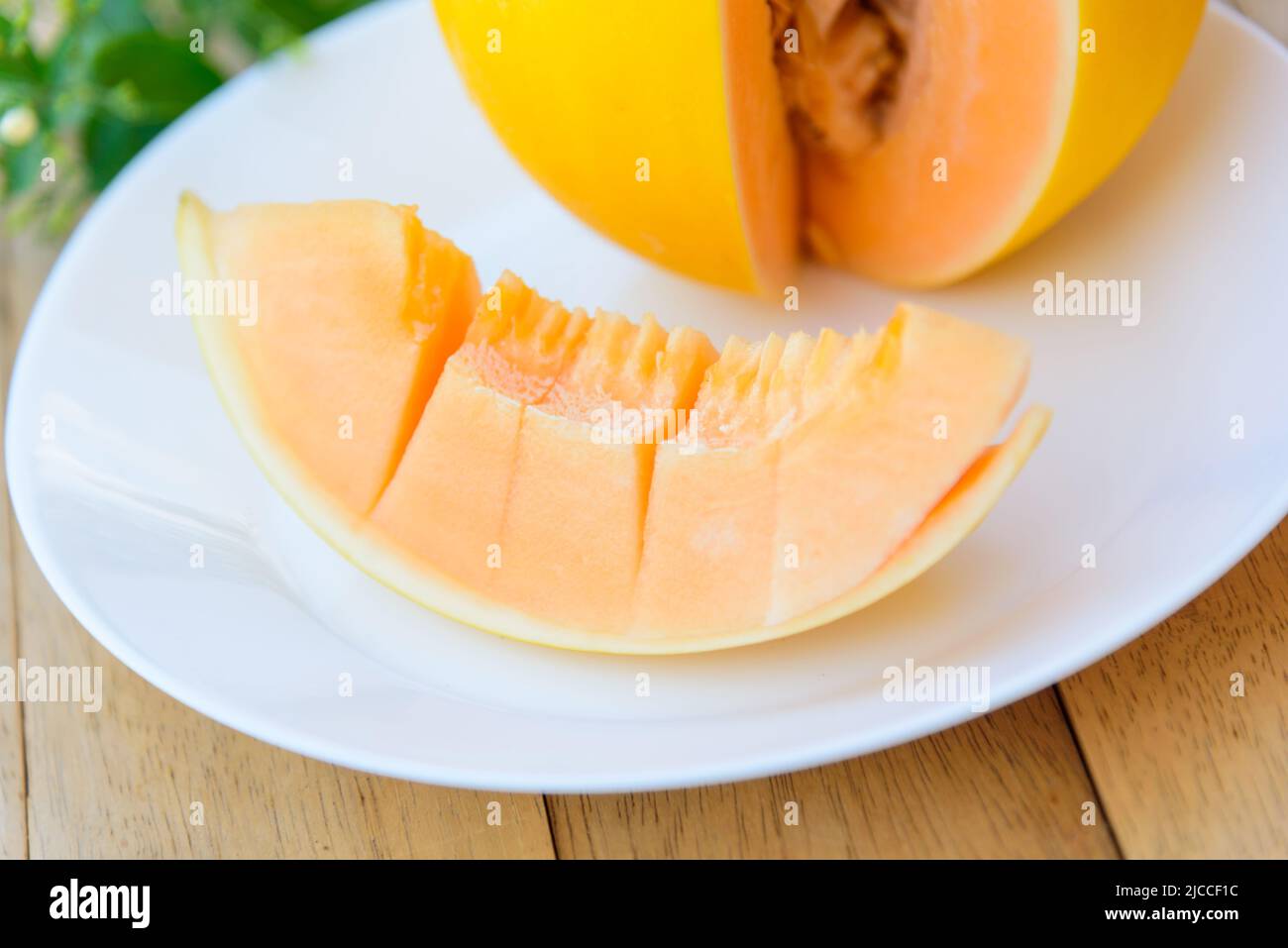 Plant in well draining soil hi-res stock photography and images - Alamy