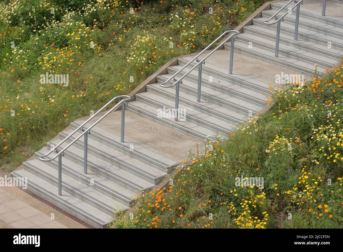 Concrete steps with stainless steel handrail rising through a ...