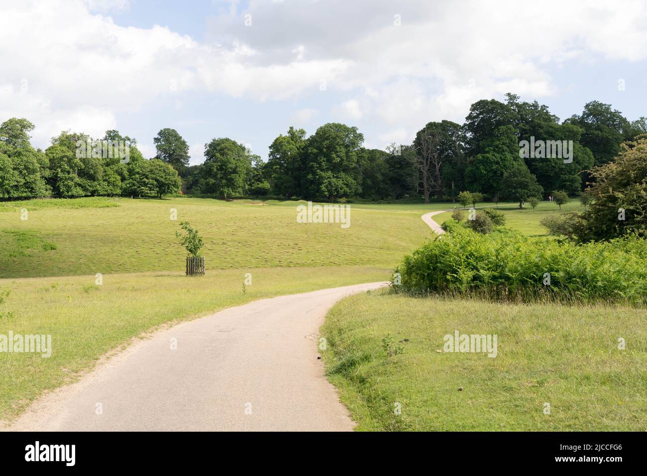 foot path for hikers and walkers in deer park Kent England UK Stock ...
