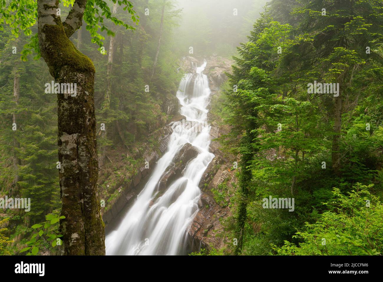 waterfall in Mendelikha Waterfall park, Rosa Khutor, Russia Stock Photo ...