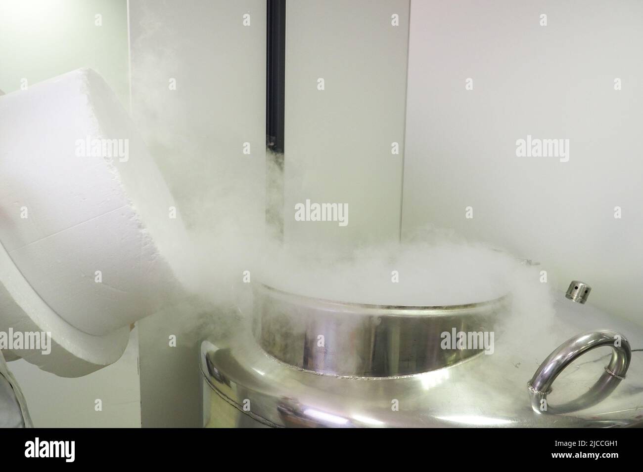 using liquid nitrogen at the lab Stock Photo - Alamy