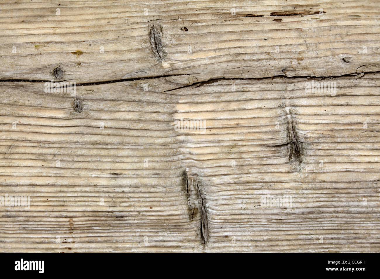 Old natural wood board with knots, cracks and scuffs. Old wood texture ...