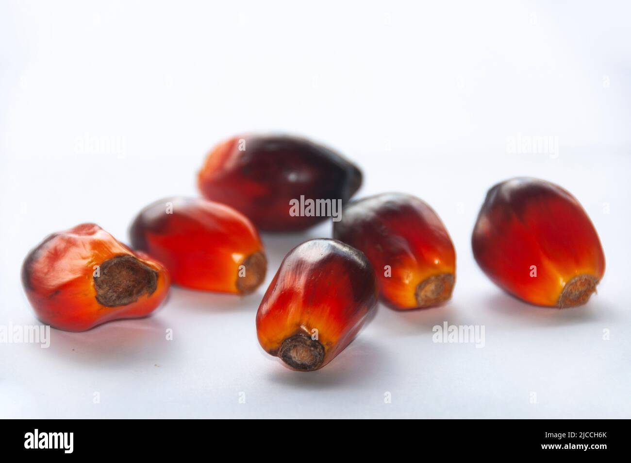Palm seed hi-res stock photography and images - Alamy