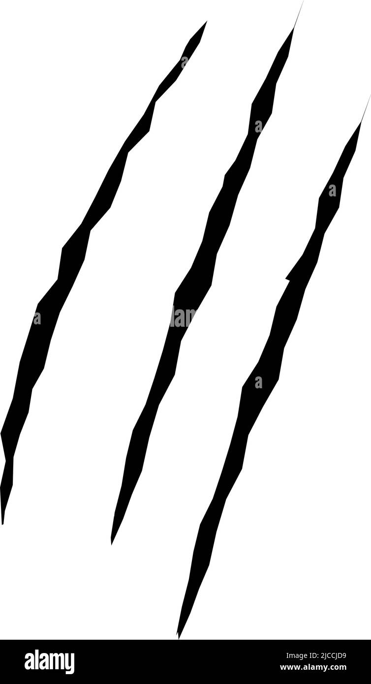 Cat Scratches Vector