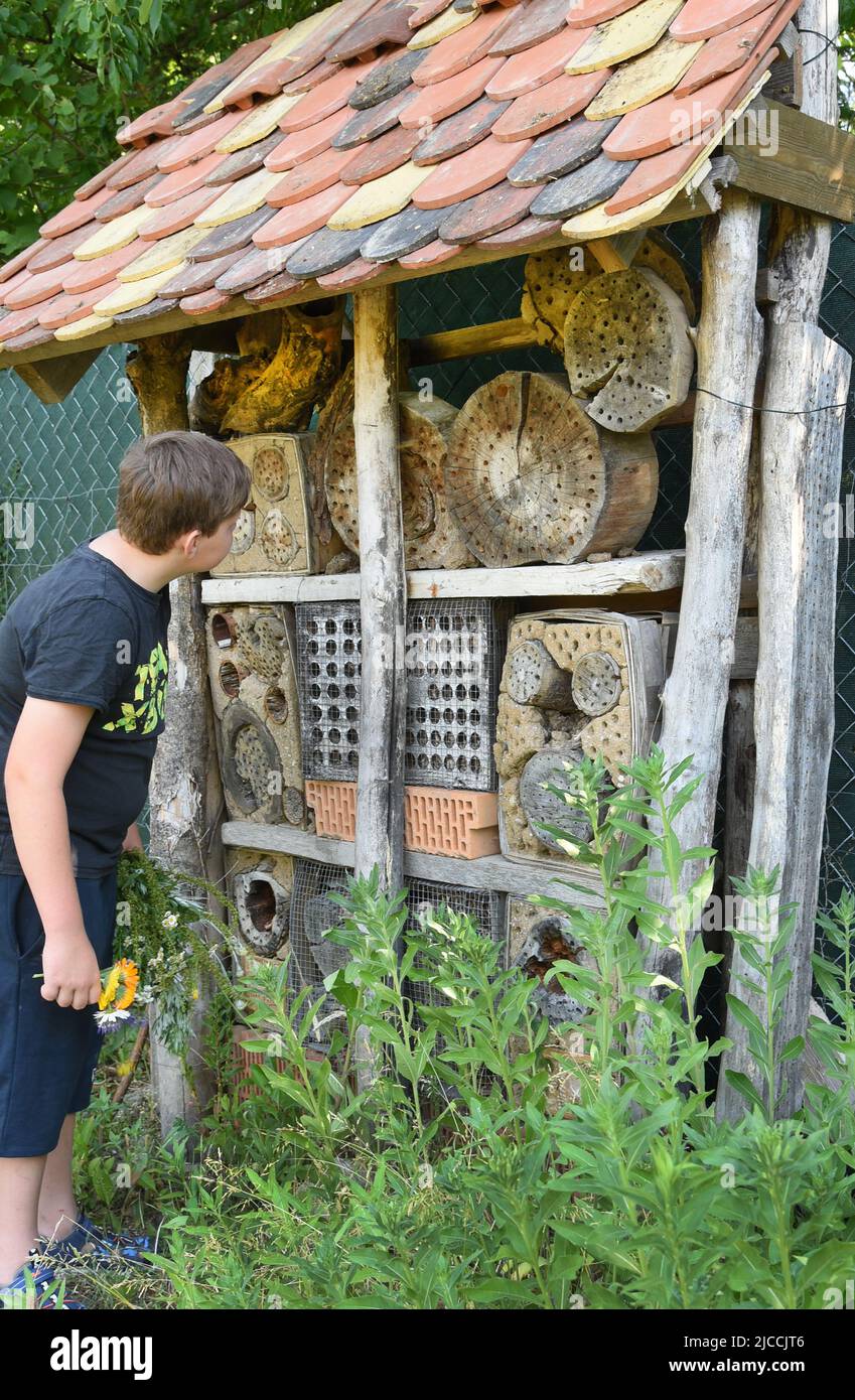 12 June 2022, Saxony, Taucha Bei Leipzig: On Open Garden Day, 10-year ...