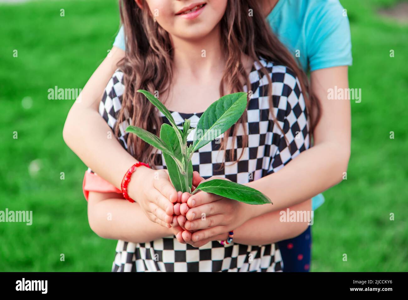 Children take care of nature tree in their hands. Selective focus. Kid ...