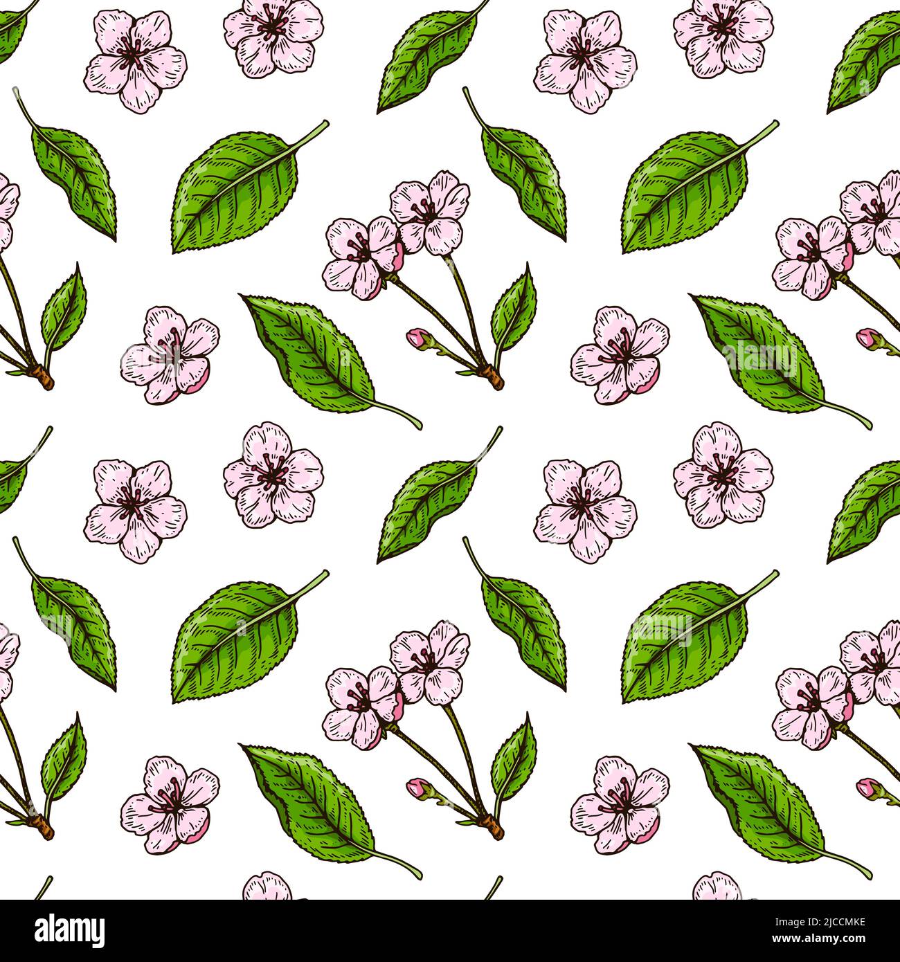 Hand drawn cherry blossom seamless pattern. Vector illustration in ...