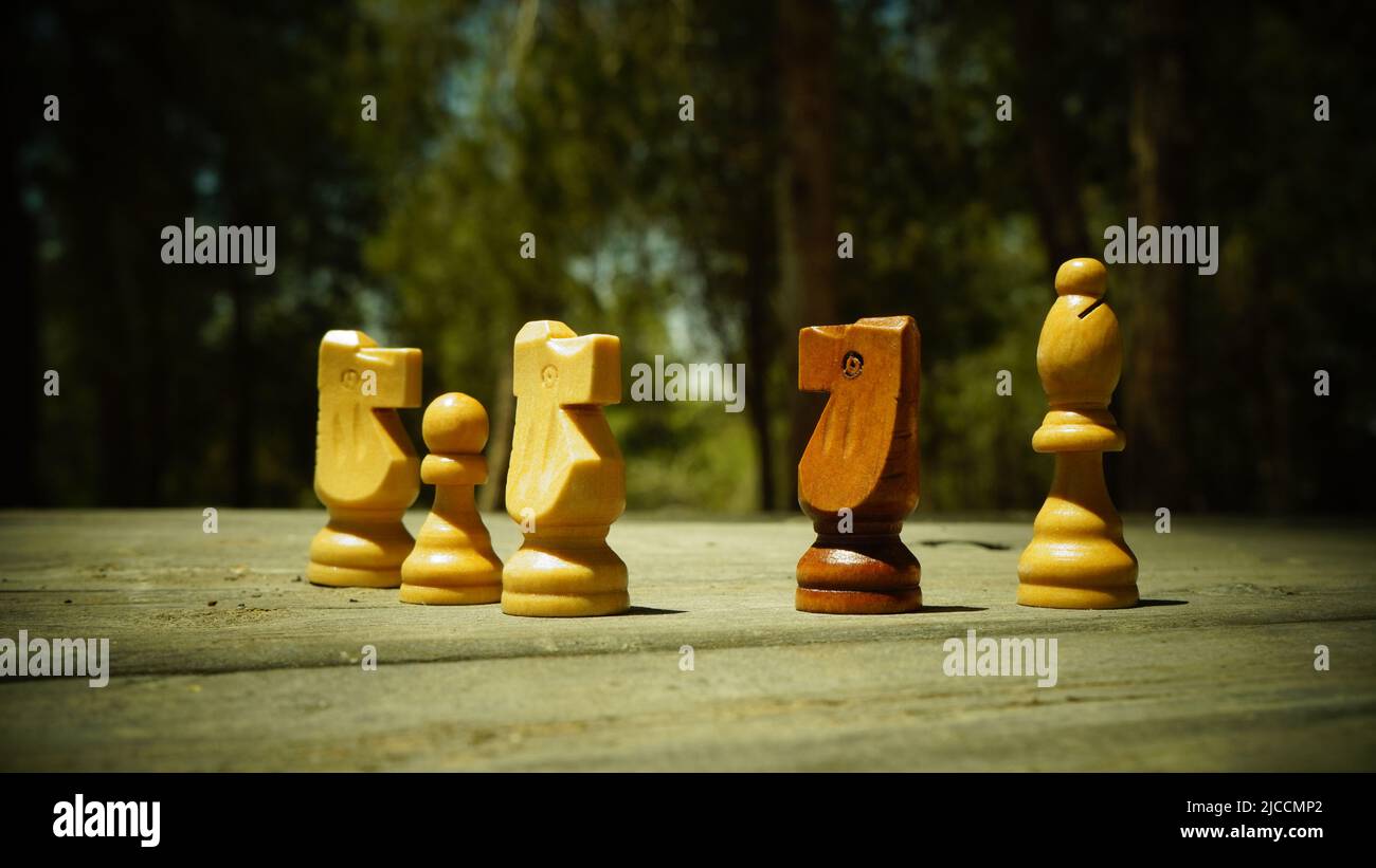 Chess, chess board and wooden chess pieces in nature at the campsite ...