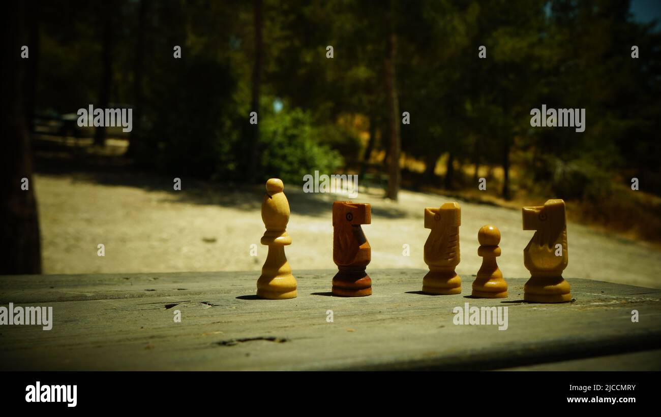 Chess, chess board and wooden chess pieces in nature at the campsite ...