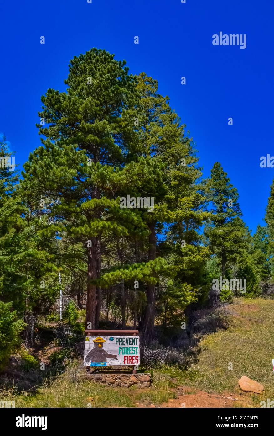 Fire hazard warning sign near a large coniferous tree, Colorado, USA ...