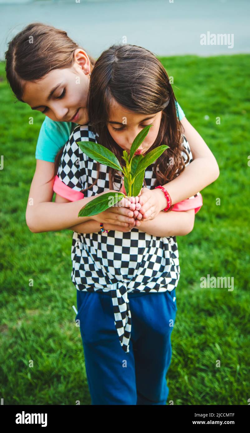 Children take care of nature tree in their hands. Selective focus. Kid ...