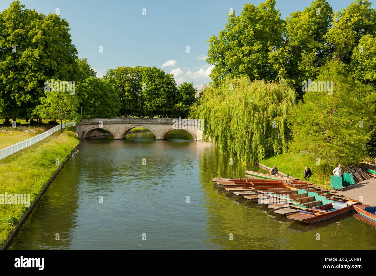 Spring afternoon on river Cam in Cambridge, England Stock Photo - Alamy