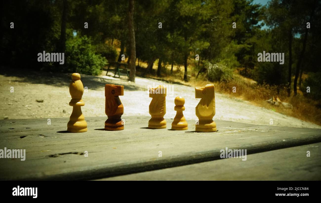 Chess, chess board and wooden chess pieces in nature at the campsite ...