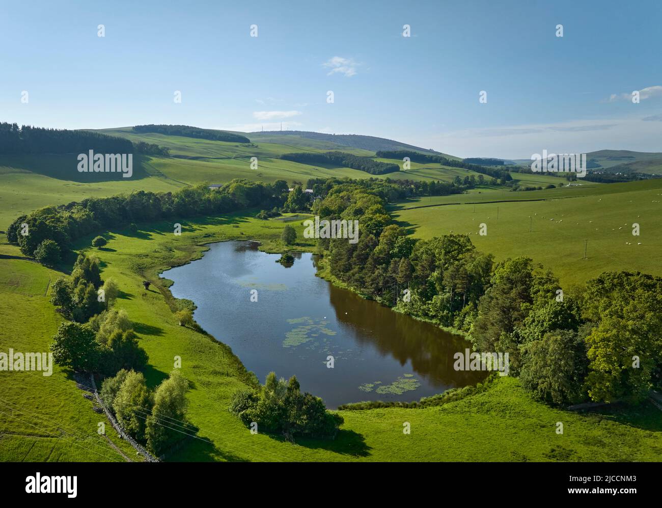 Wildlife habitat borders hi-res stock photography and images - Alamy