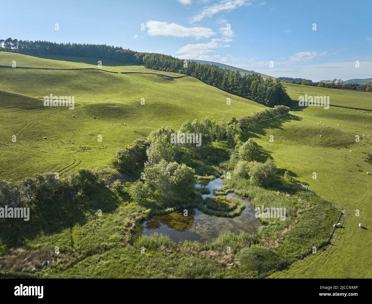 Aerial shot of agricultural land around Galashiels in the Scottish ...