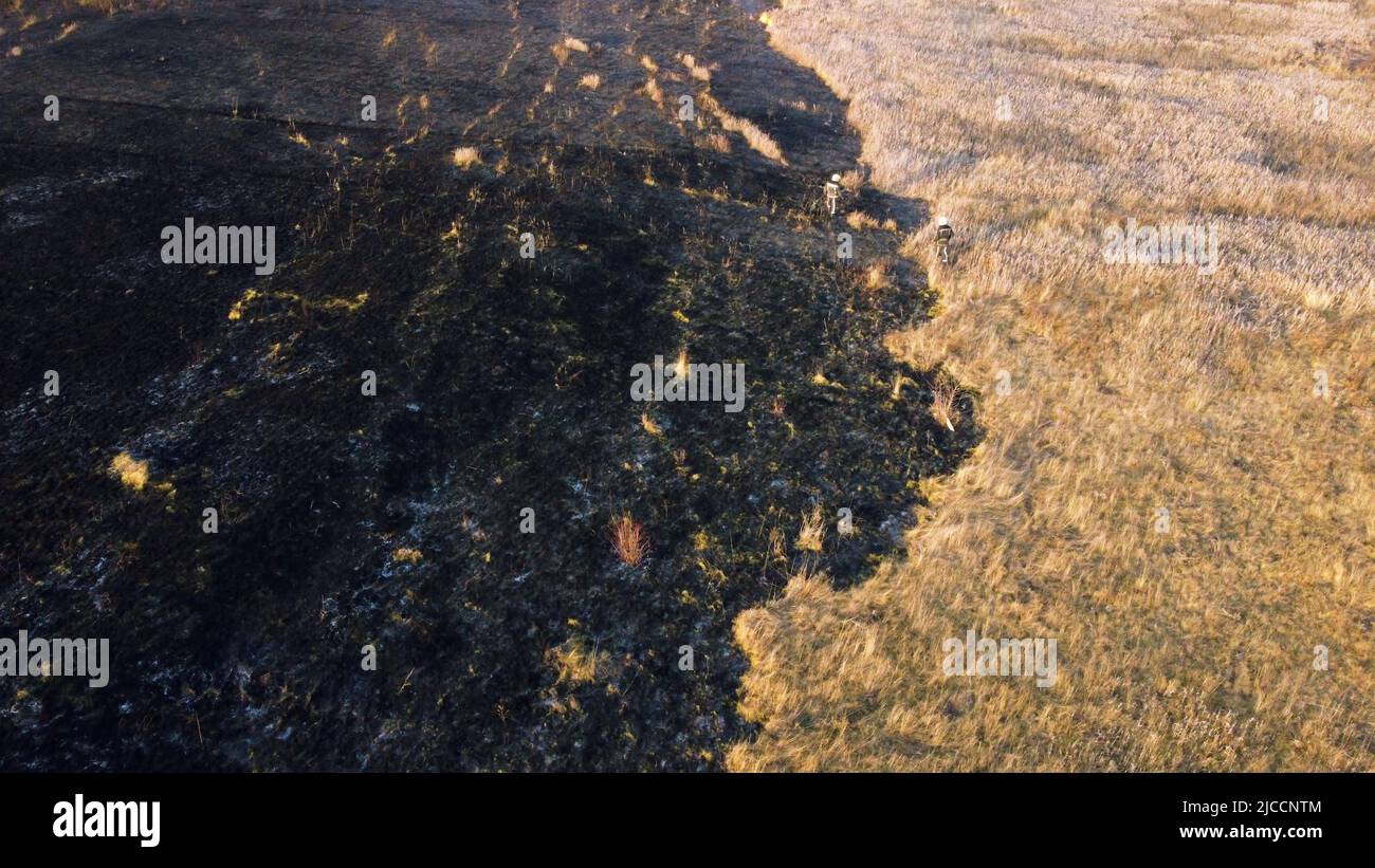 Aerial view Fire extinguishing. Fireman extinguishing burning dry grass ...
