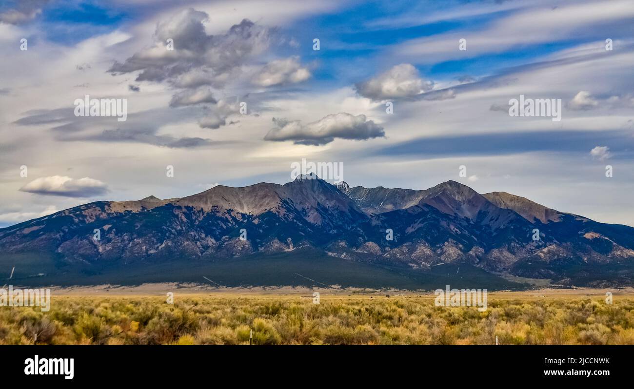 Yellow Prairie from Desert Plants, Great Sand Dunes National Park with ...
