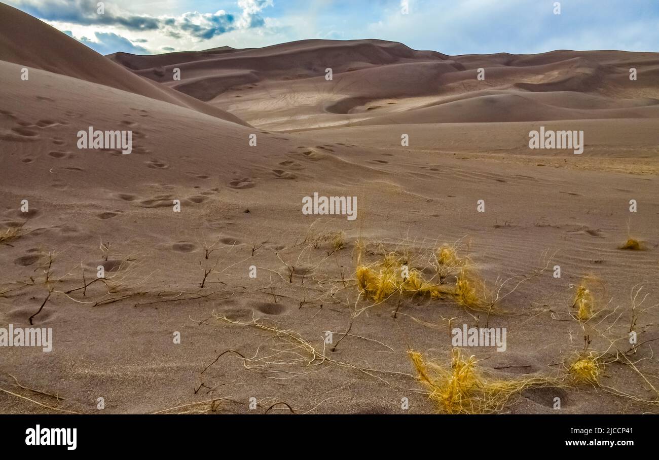 Desert landscape, Great Sand Dunes National Park, Colorado, USA Stock ...