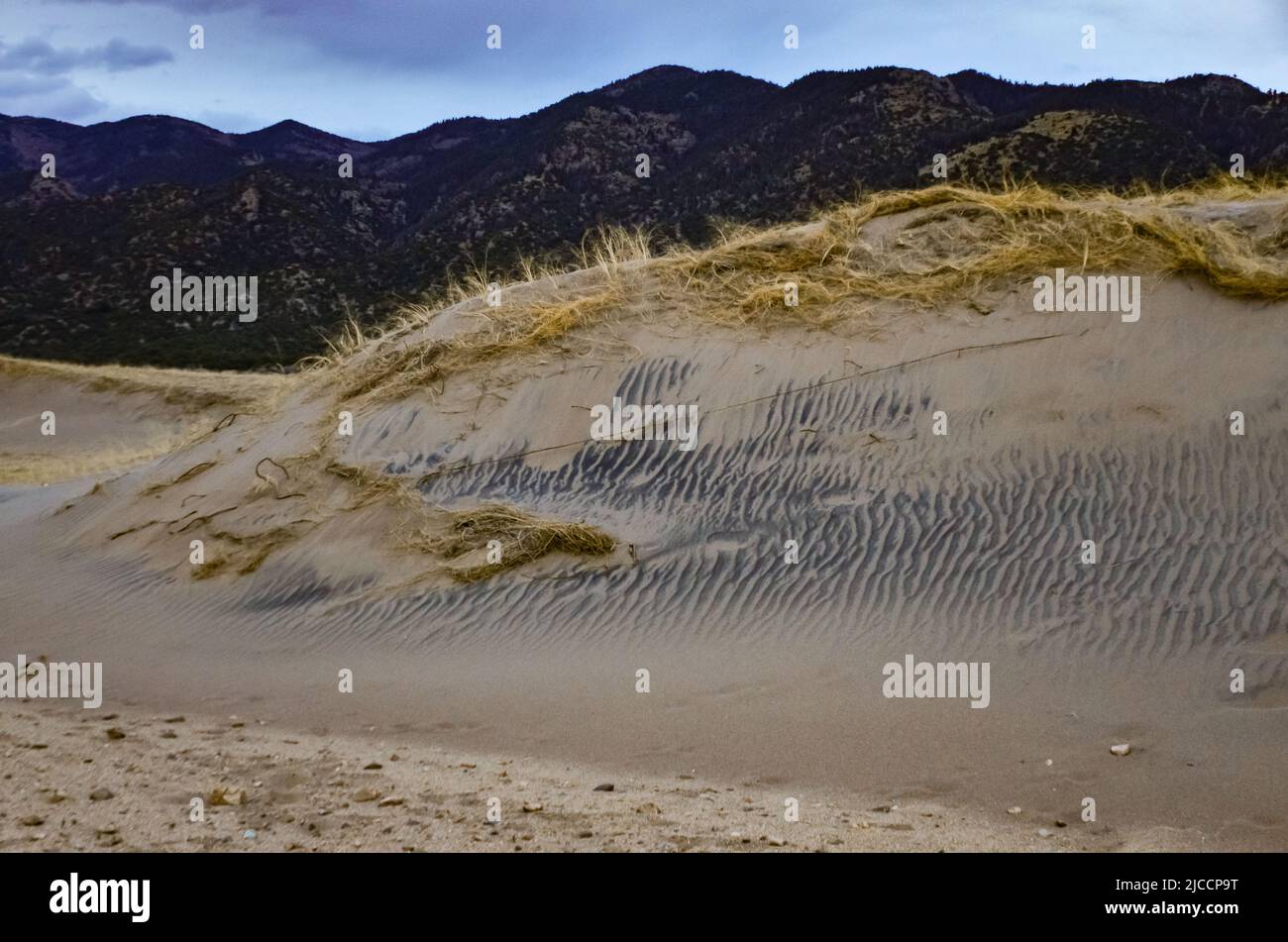 Desert landscape, Great Sand Dunes National Park, Colorado, USA Stock ...