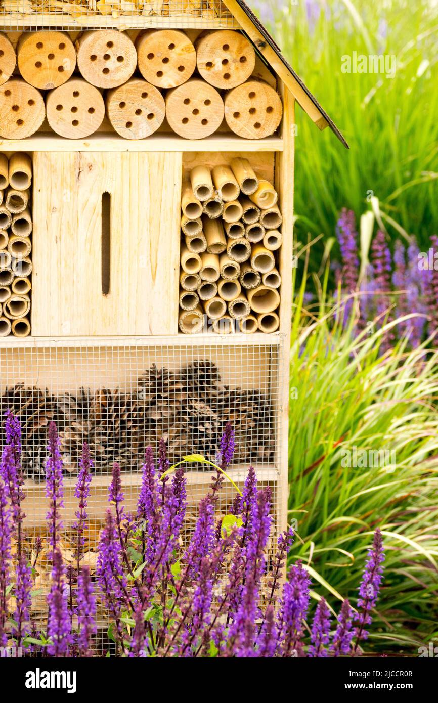 Insect hotel hi-res stock photography and images - Alamy