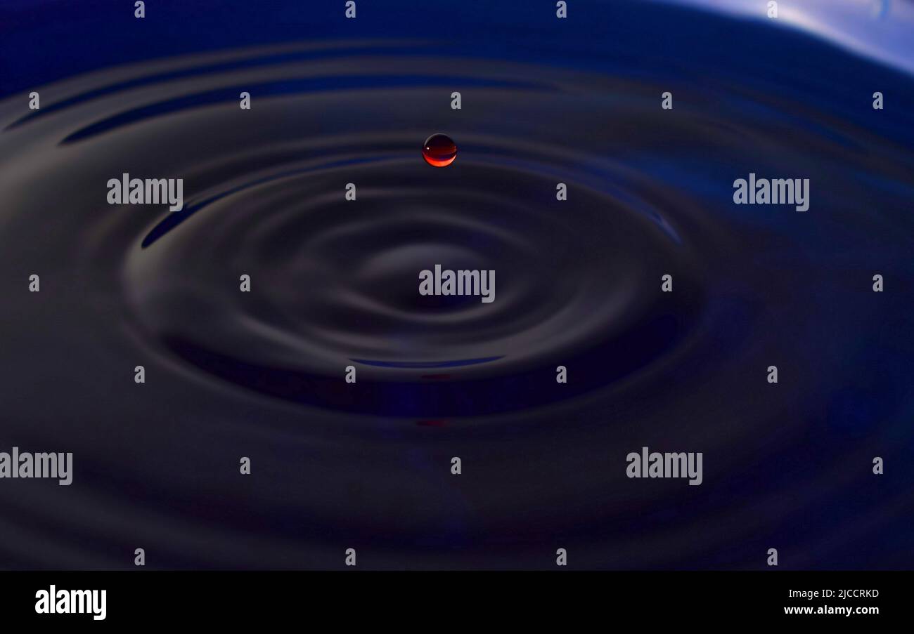 Water Drop Photography, Close up of red water drops into dark blue ...