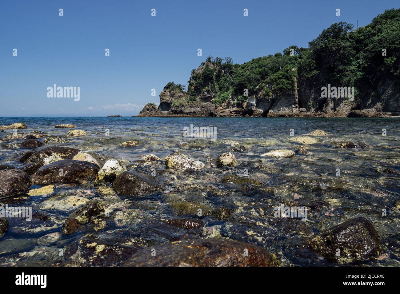 Shizuoka. 12th June, 2022. Photo taken on June 12, 2022 shows the ...