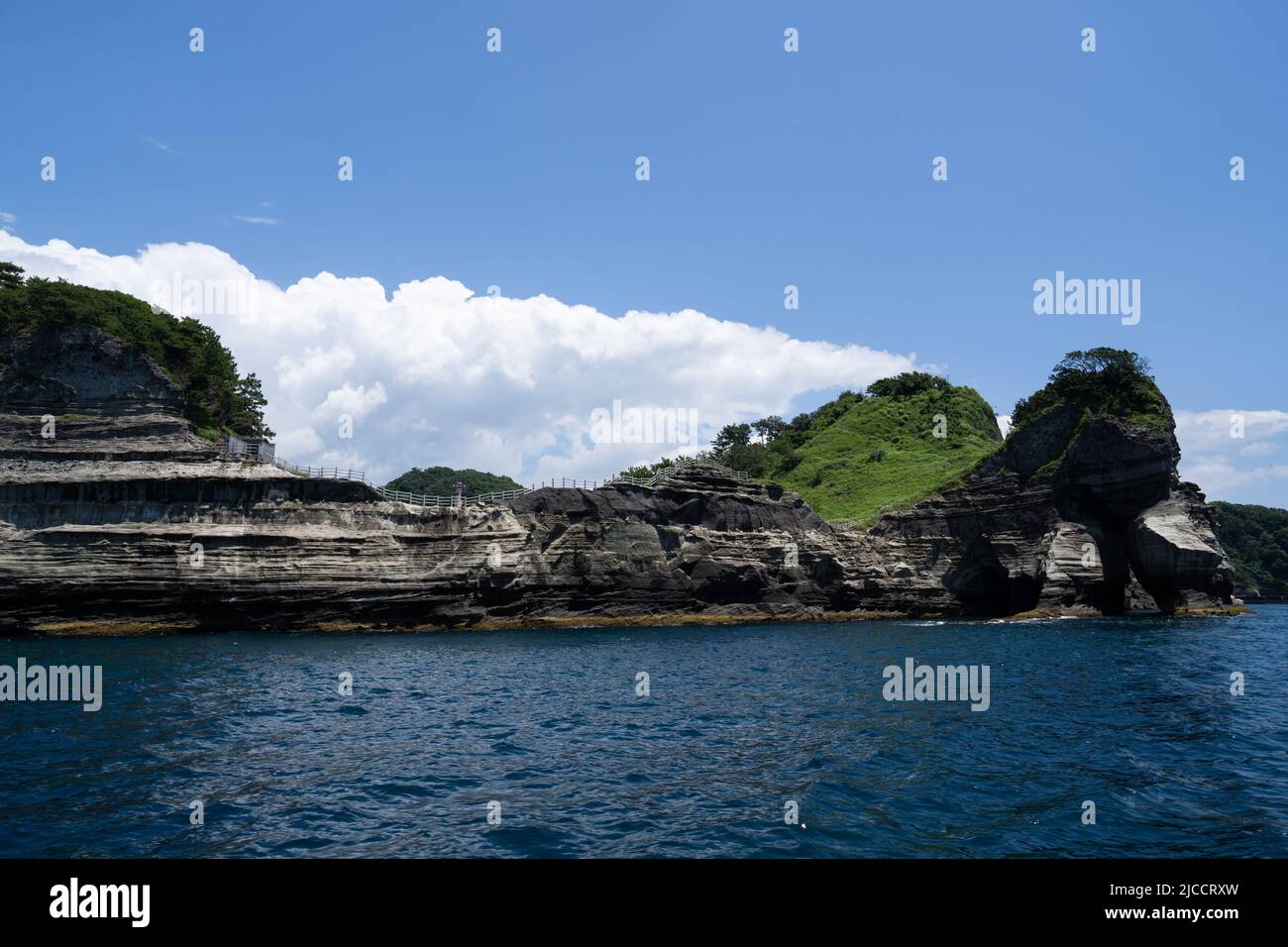 Shizuoka. 12th June, 2022. Photo taken on June 12, 2022 shows the ...