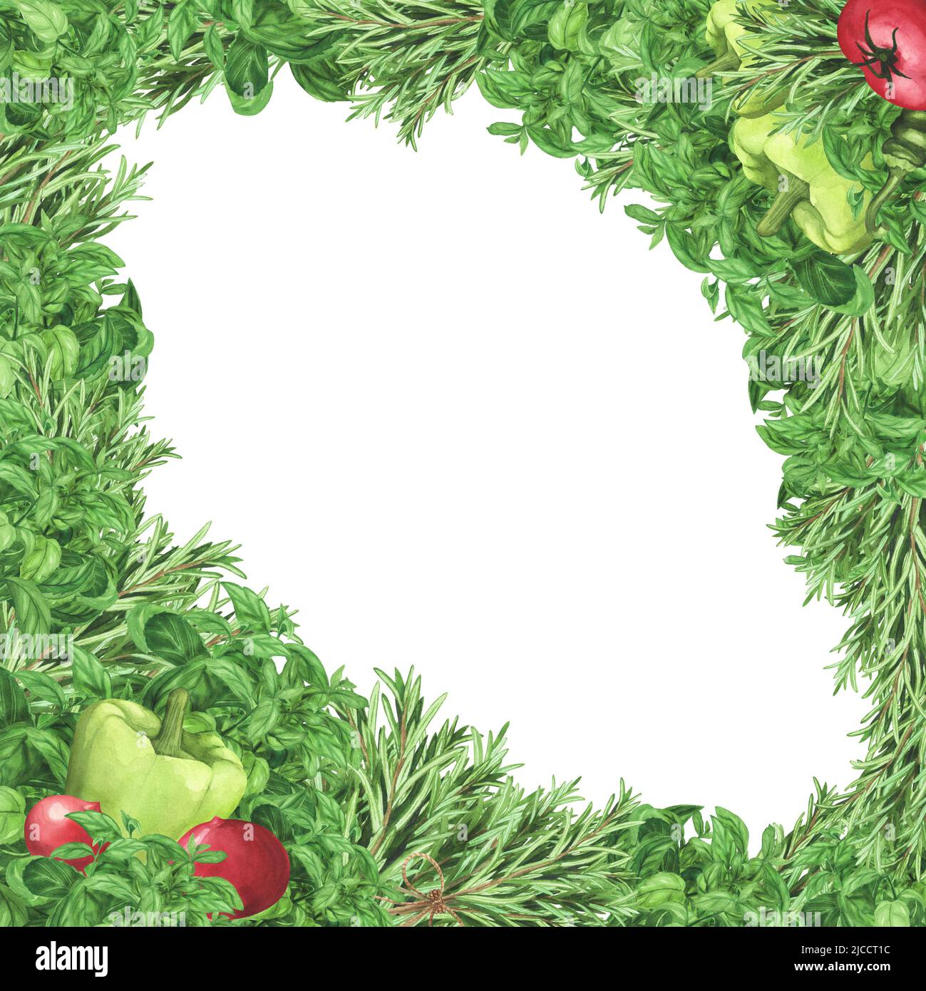 Border with fresh basil, rosemary, ripe tomatoes, chili pepper ...