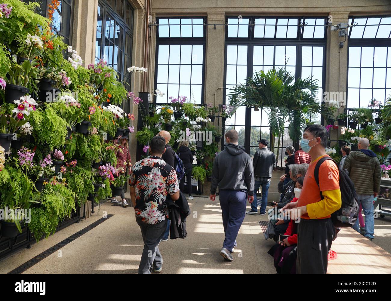 Kenneth Square, Pennsylvania - April 2, 2022 - Visitors enjoying ...