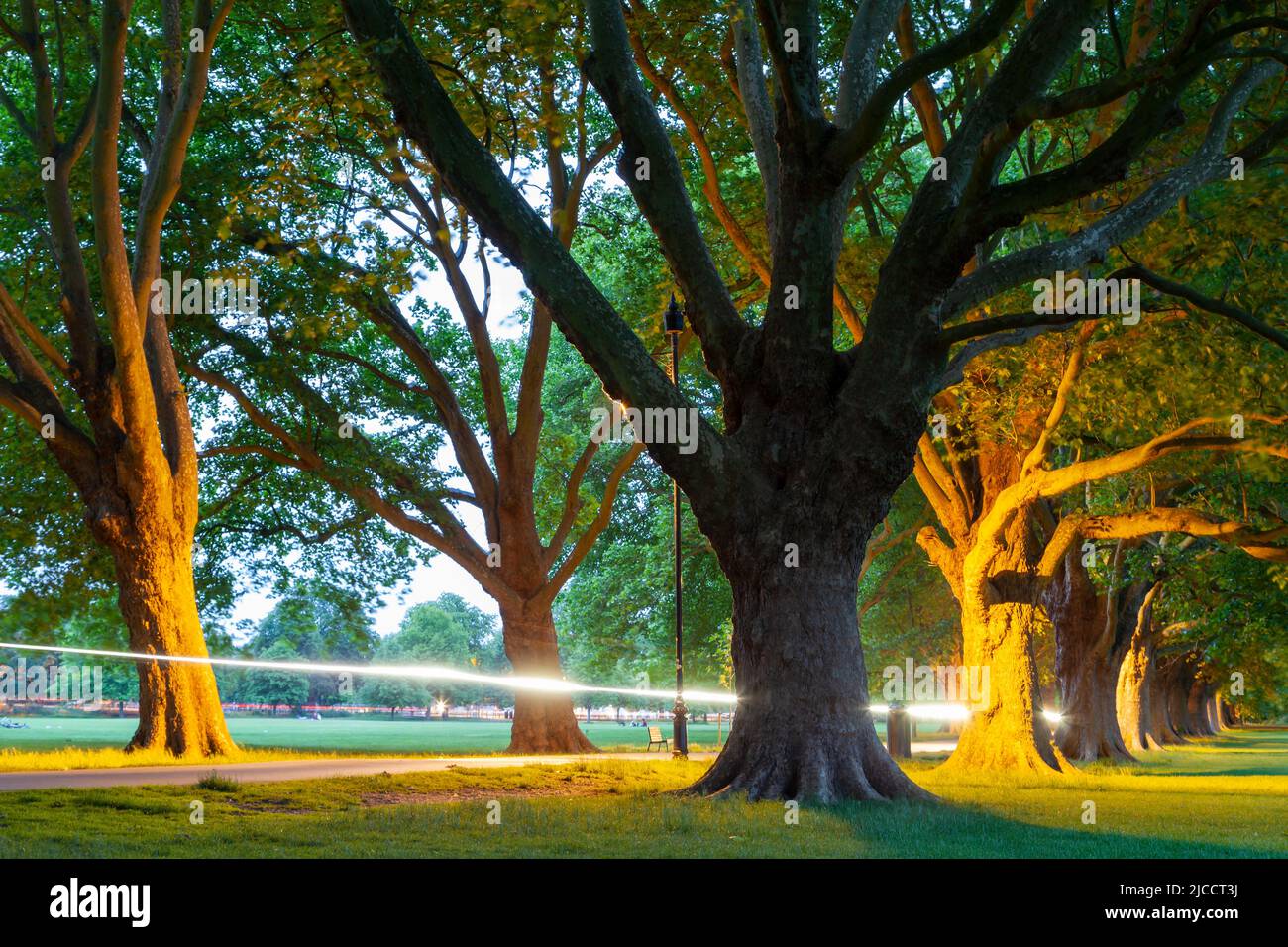 Jesus Green in Cambridge on a spring evening, Cambridgeshire, England ...