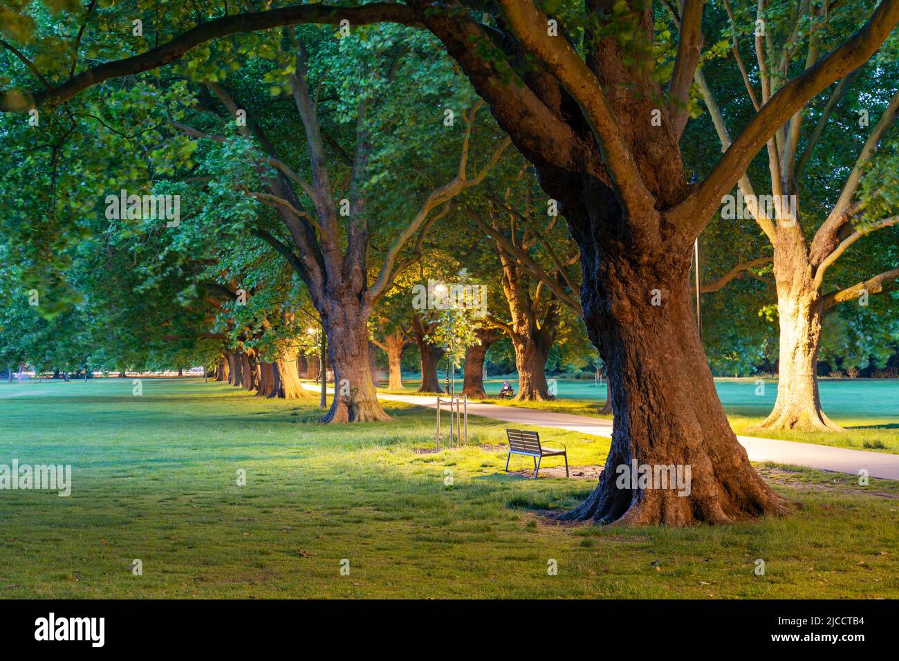 Spring evening at Jesus Green in Cambridge, England Stock Photo - Alamy