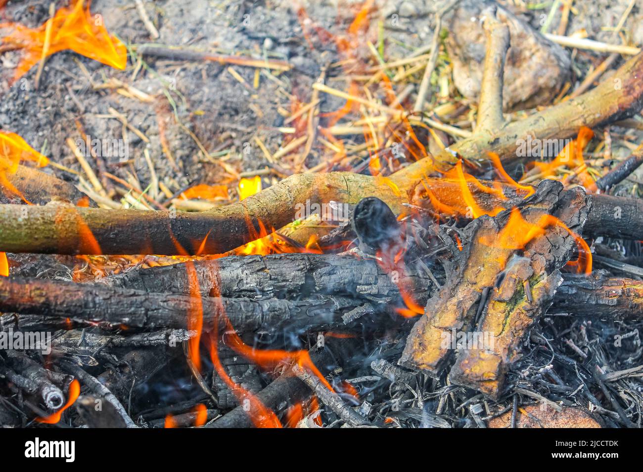 Campfire and burning wood with orange flames on the Harrier Sand island ...