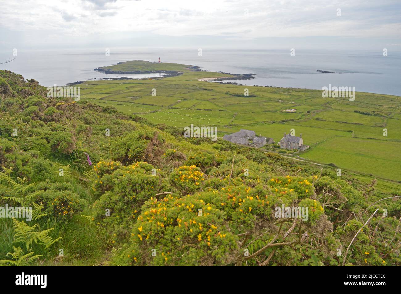 Bardsey Island lighthouse and coastline Stock Photo - Alamy
