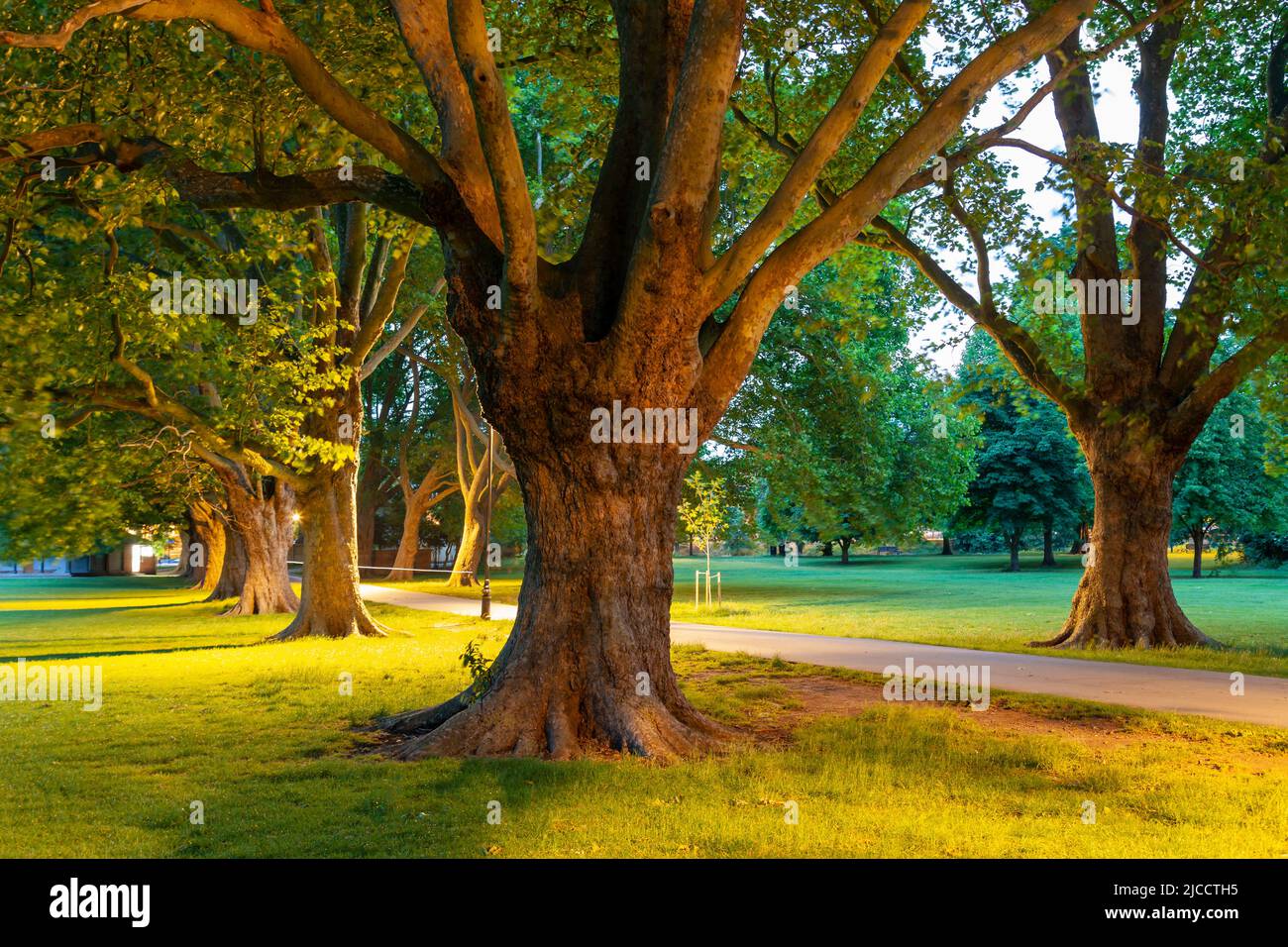 Spring evening park hi-res stock photography and images - Alamy