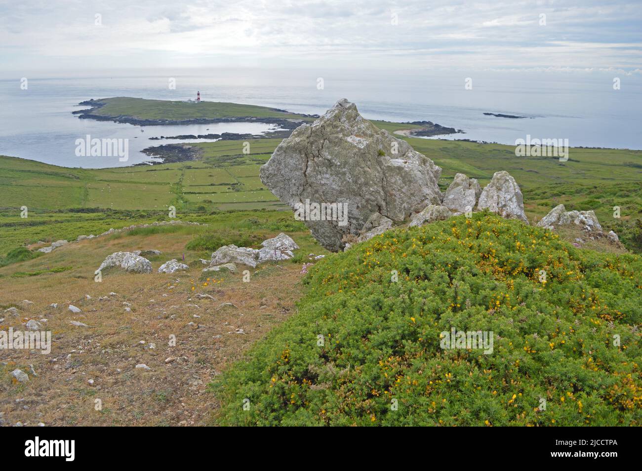 Bardsey island views hi-res stock photography and images - Alamy