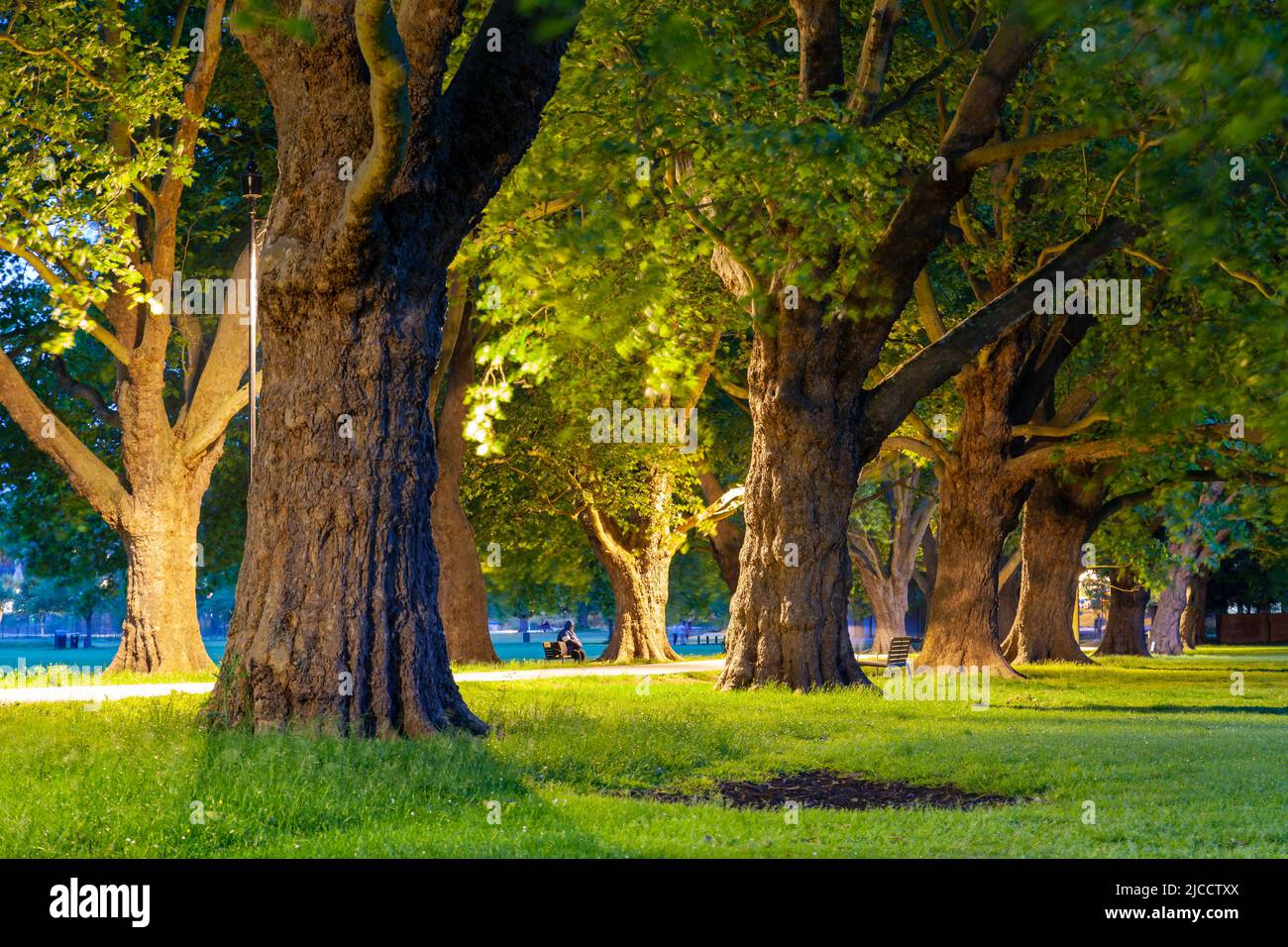 Spring evening on Jesus Green in Cambridge, England Stock Photo - Alamy