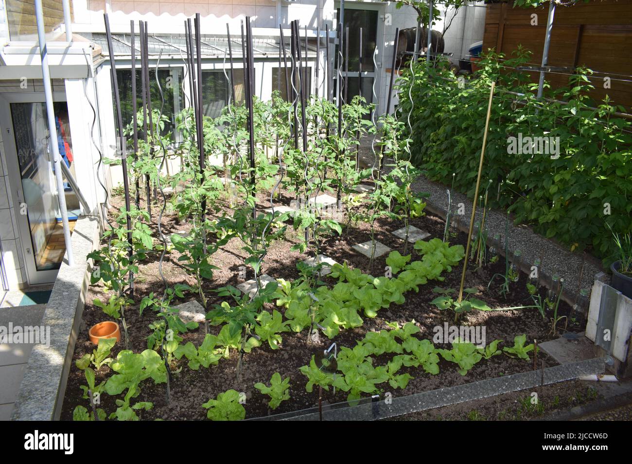 mixed vegetable garden Stock Photo - Alamy