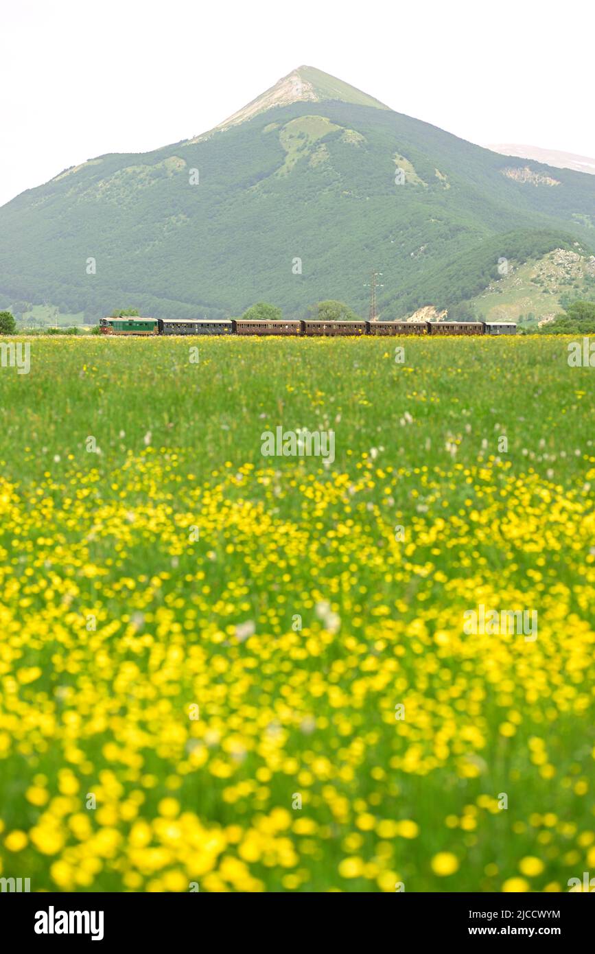 Solitary railway track with passing train for communication between ...