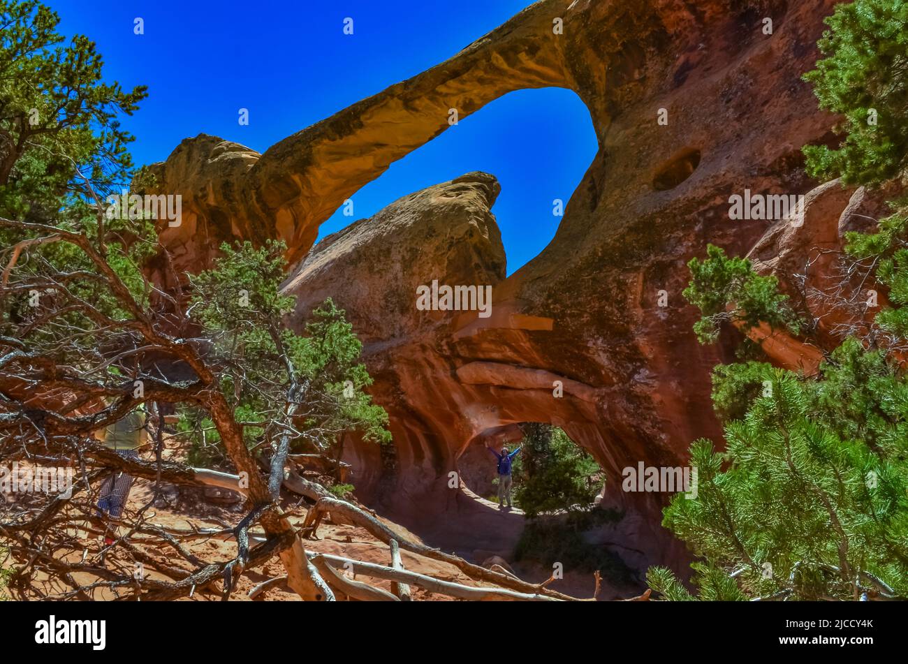 Oblique view of Double O Arch. Arches National Park, Utah, MOAB, USA ...